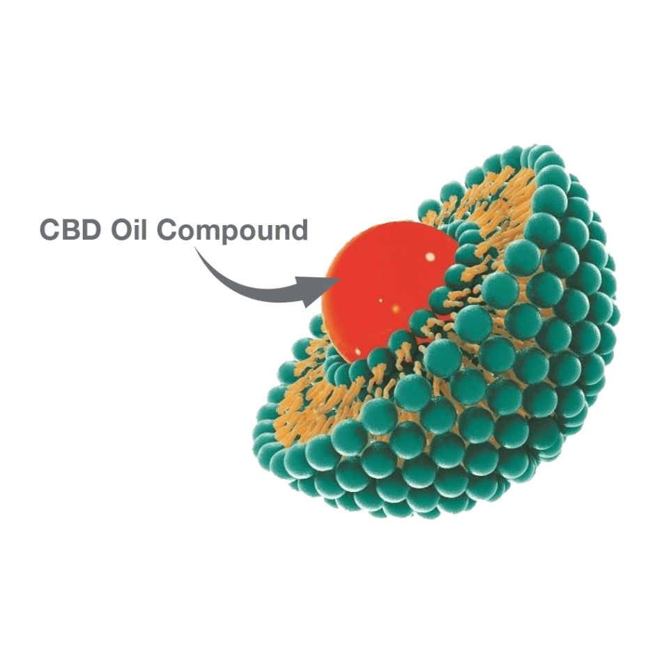 All You Need To Know About Water-Soluble CBD - CBD by BRITISH CANNABIS™